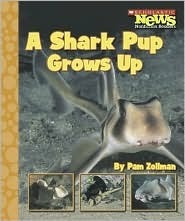 A Shark Pup Grows Up (Animal Life Cycles) by Pam Zollman | Goodreads