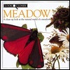 Meadow (Look Closer) by Barbara Taylor | Goodreads