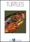 Turtles (Zoobooks) by Timothy Levi Biel | Goodreads