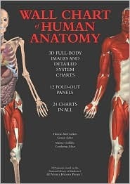 Wallchart of Human Anatomy: 3 D Full-Body Images, Detailed System ...