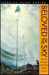 Beloved of the Sky/Essays and Photographs on Clearcutting by John ...
