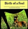 Birth of a Foal (Carolrhoda Nature Watch Book) by Hans-Heinrich ...