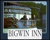 Bigwin Inn by Douglas McTaggart | Goodreads