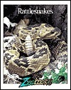 Rattlesnakes (Zoobooks Series) by Wildlife Education Ltd. | Goodreads