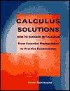Calculus Solutions: How to Succeed in Calculus From Essential ...