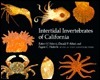 Intertidal Invertebrates of California by Robert Harding Morris | Goodreads