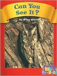 Can You See It? by Wiley Blevins | Goodreads