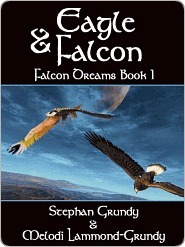 Eagle and Falcon (Falcon Dreams, #1) by Stephan Grundy | Goodreads
