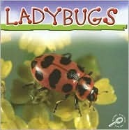 Ladybugs (Insects Discovery Library) by Jason Cooper | Goodreads