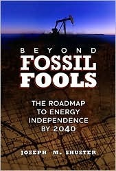 Beyond Fossil Fools: The Roadmap to Energy Independence by 2040 by ...
