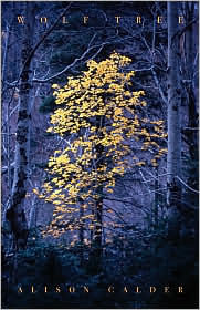 Wolf Tree by Alison Calder | Goodreads