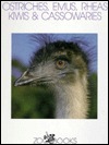 Ostriches, Emus, Rheas, Kiwis and Cassowaries by John Bonnett Wexo ...