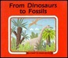 From Dinosaurs to Fossils (Start to Finish Book) by Annegert Fuchshuber ...