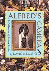 Alfred's Camera: A Collection of Picture Puzzles by David Ellwand ...