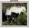 Skunks (North American Animal Discovery Library) by Lynn M. Stone ...