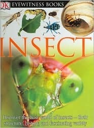 Insect (DK Eyewitness Books) by L.A. Mound | Goodreads