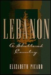Lebanon: A Shattered Country : Myths and Realities of the Wars in ...