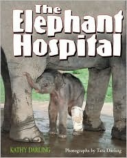 The Elephant Hospital by Kathy Darling | Goodreads