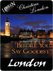 Before You Say Goodbye by Christine London | Goodreads