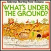What's Under Ground? (Usborne Starting Point Science) by Susan Mayes ...