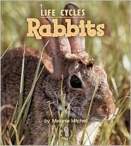 Rabbits by Melanie Mitchell | Goodreads