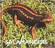 Salamanders by Edward J. Maruska | Goodreads