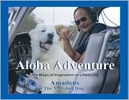 Aloha Adventure: The Magic Of Imagination On A Rainy Day by Amadeus ...