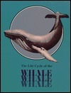 The Whale: Life Cycle Books by Paula Z. Hogan | Goodreads