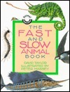 The Fast and Slow Animal Book (Animal Opposites) by David Taylor ...