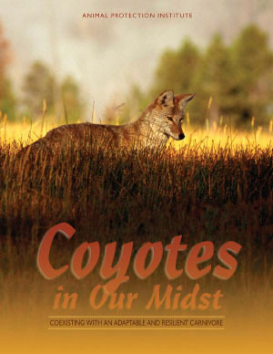 Coyotes in Our Midst: Coexisting with an Adaptable and Resilient ...