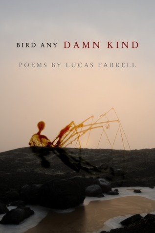 Bird Any Damn Kind by Lucas Farrell | Goodreads