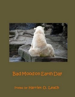 Bad Mood on Earth Day by Harriet Leach | Goodreads