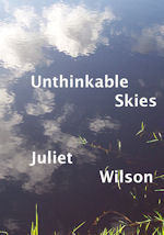 Unthinkable Skies by Juliet Wilson | Goodreads