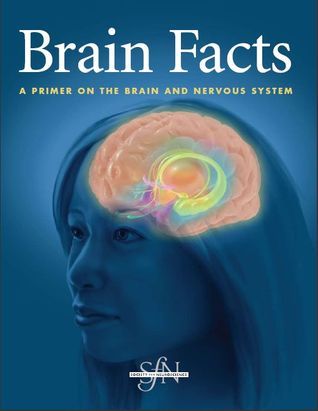 Brain Facts: A Primer on the Brain and Nervous System by The Society ...