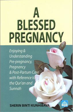 A Blessed Pregnancy : Enjoying and Understanding Pre-pregnancy ...