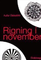 Rigning í nóvember by Auður Ava Ólafsdóttir | Goodreads