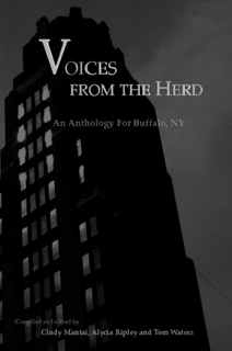 Voices From The Herd: An Anthology For Buffalo, NY by Alycia Ripley ...