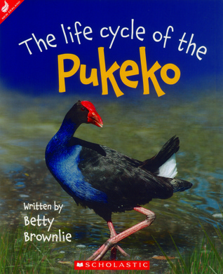 The life cycle of the Pukeko by Betty Brownlie | Goodreads