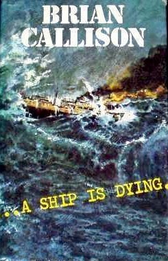 A ship is dying by Brian Callison | Goodreads