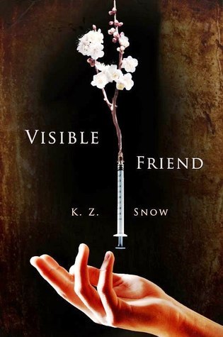 Visible Friend by K.Z. Snow | Goodreads