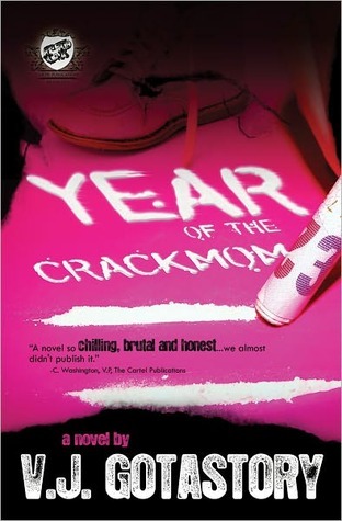 Year of the Crack Mom by V.J. Gotastory | Goodreads