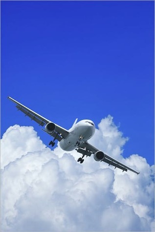 Flight Into Danger by E.K. Barber | Goodreads