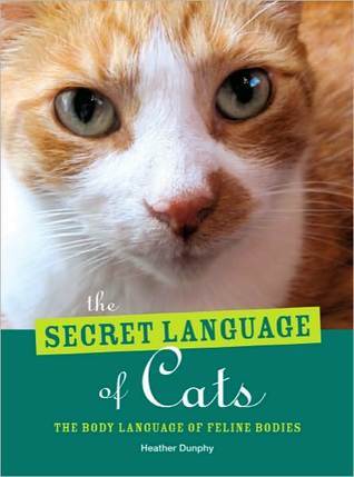 The Secret Language of Cats - The Body Language of Feline Bodies by ...
