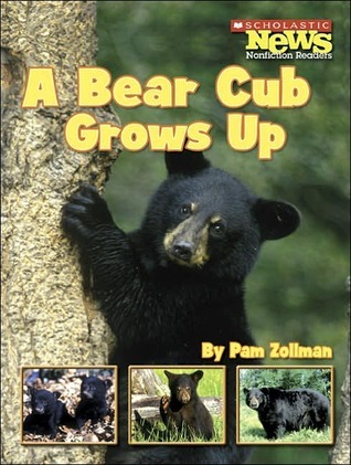 A Bear Cub Grows Up (Animal Life Cycles) by Pam Zollman | Goodreads