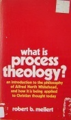 What is Process Theology?: An Introduction to the Philosophy of Alfred ...