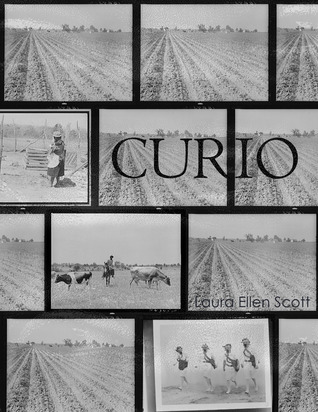 Curio by Laura Ellen Scott | Goodreads