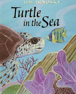Turtle in the Sea by Jim Arnosky | Goodreads
