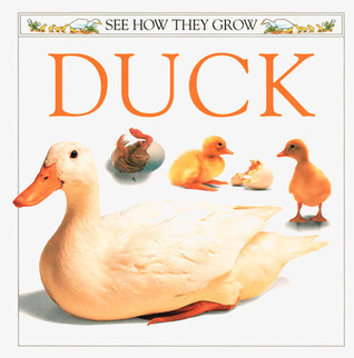 Duck (See How They Grow) by Barrie Watts | Goodreads