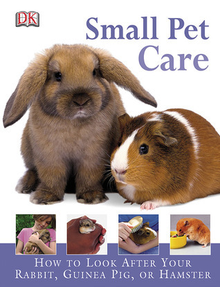 Small Pet Care: How to Look After Your Rabbit, Guinea Pig, or Hamster ...