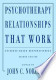 Psychotherapy Relationships That Work: Evidence-Based Responsiveness by ...